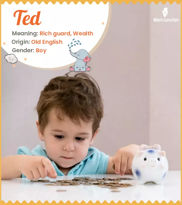 Ted Name Meaning: Origin, History, and Popularity Guide