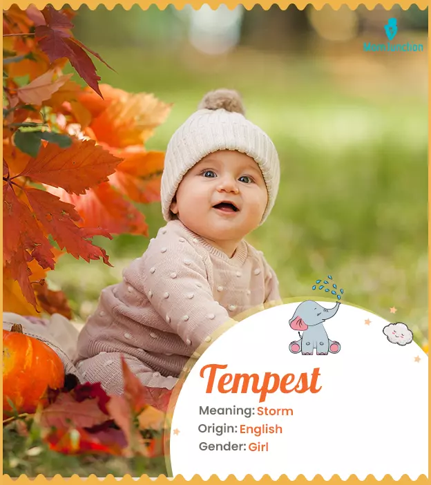 Explore Tempest: Meaning, Origin & Popularity