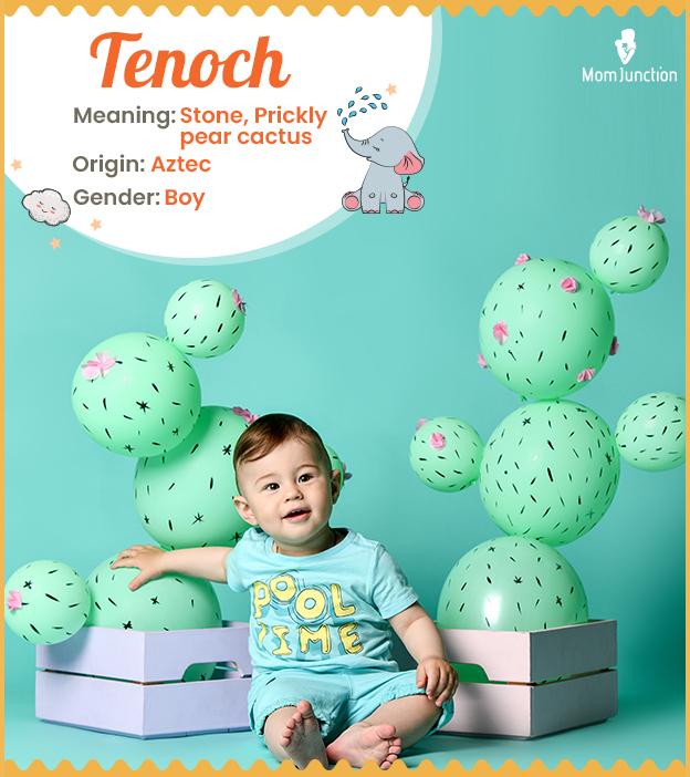 Tenoch Name Meaning, Origin, History, And Popularity