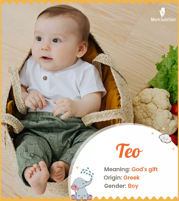 Teo Name Meaning, Origin, History, and Popularity