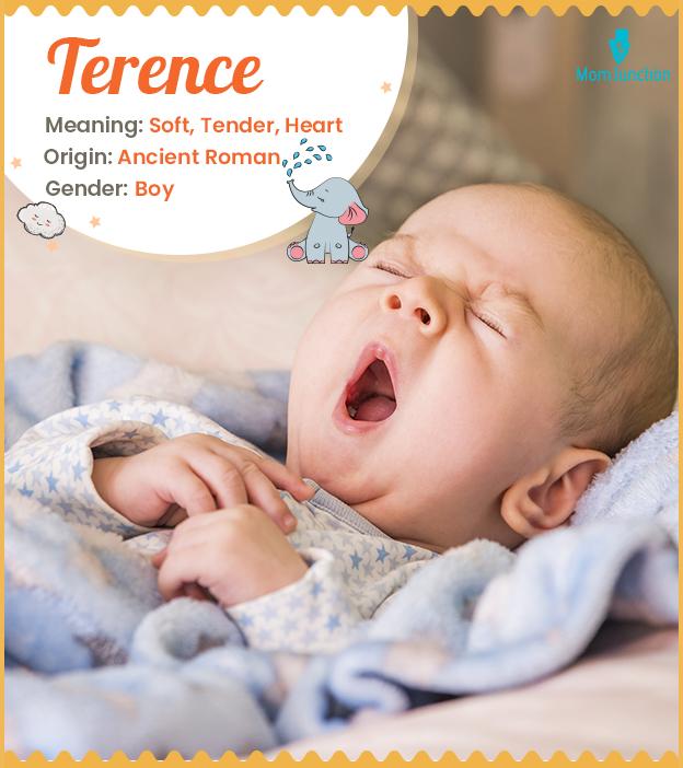 Terence Meaning, Origin, History, And Popularity
