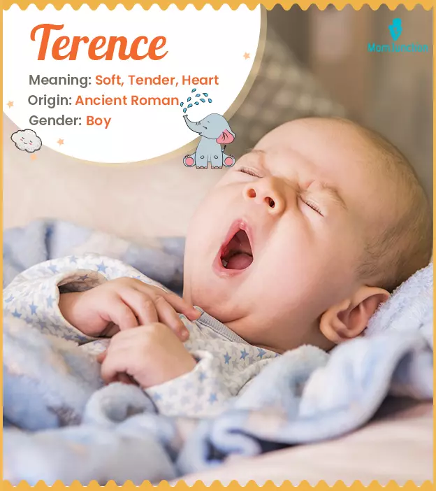 Terence Meaning, Origin, History, And Popularity