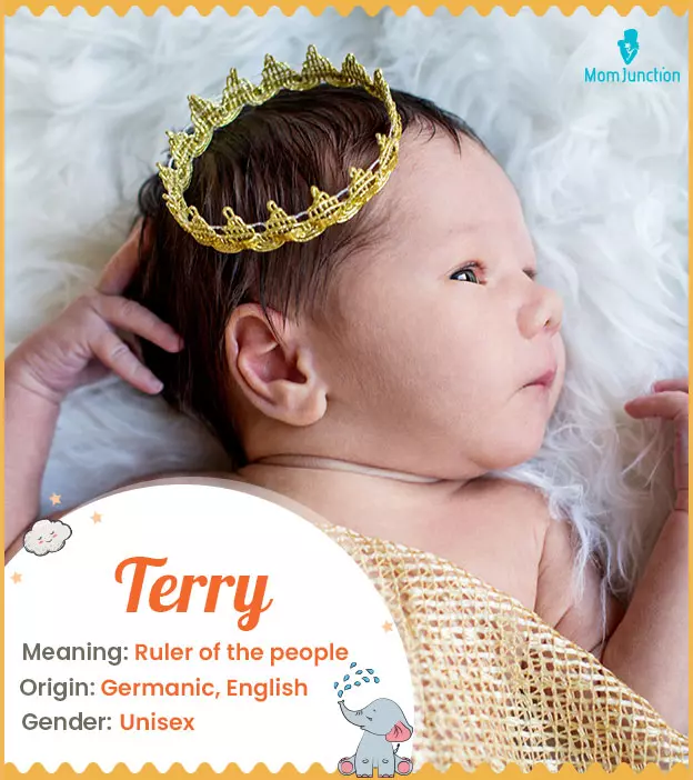 Terry Name Meaning, Origin, History, And Popularity