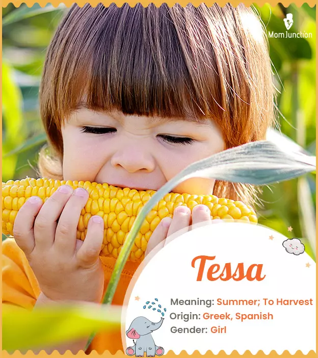 Tessa Name Meaning Origin And Popularity: A Comprehensive Guide
