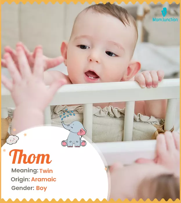 Thom Name, Meaning, Origin, History, And Popularity