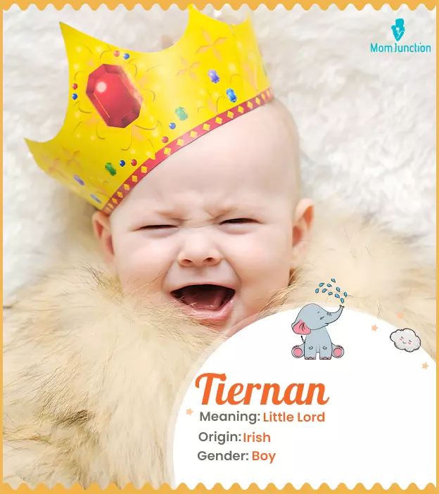 Tiernan Name: Meaning, Origin, And History: Comprehensive Guide
