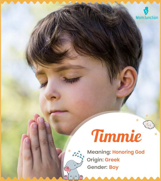 Explore Timmie: Meaning, Origin & Popularity
