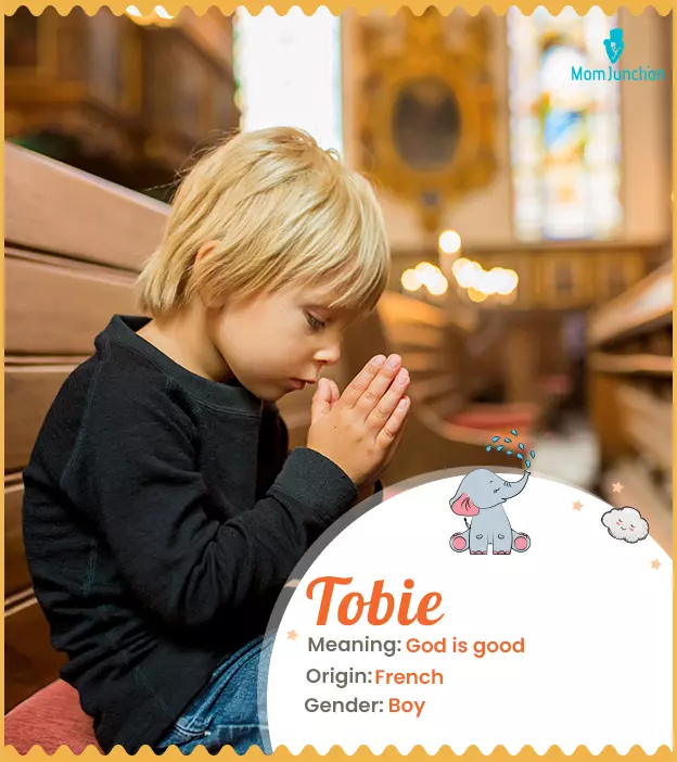 Tobie Meaning, Origin, History, And Popularity