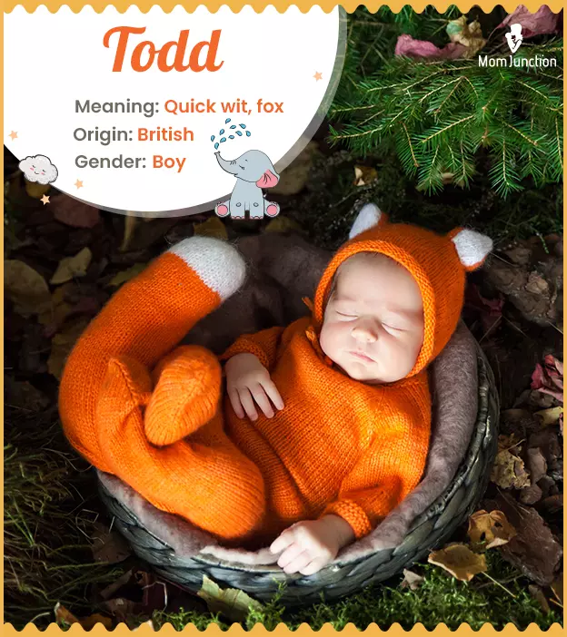 Todd Name, Origin, Meaning, And History