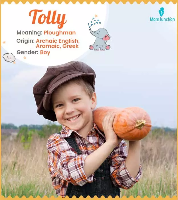 Tolly Name Meaning, Origin, History, And Popularity