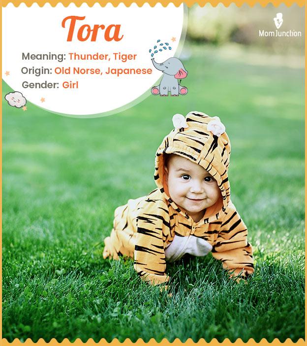 Tora Name Meaning, Origin, History, And Popularity