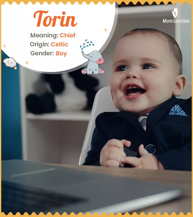 Torin Name Guide: Origin, Meaning, History, & Popularity