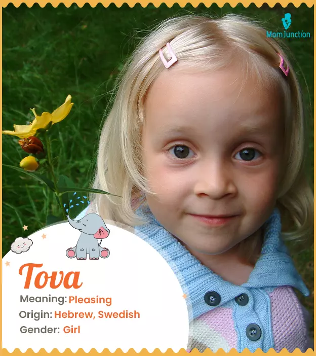 Tova Name Meaning, Origin, History, And Popularity