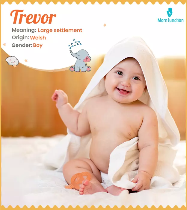 Trevor Male Name Love Is Blind' Star Trevor Unpacks Love Triangle With