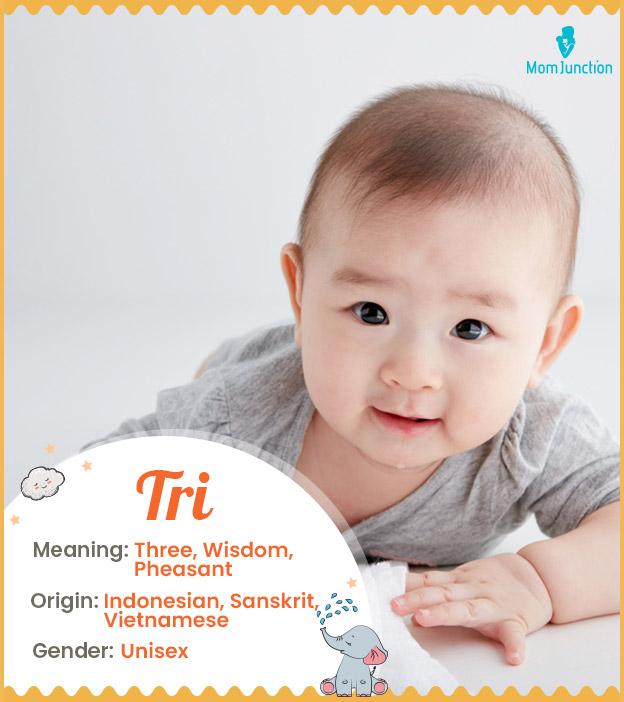 Tri Name Meaning Origin History And Popularity