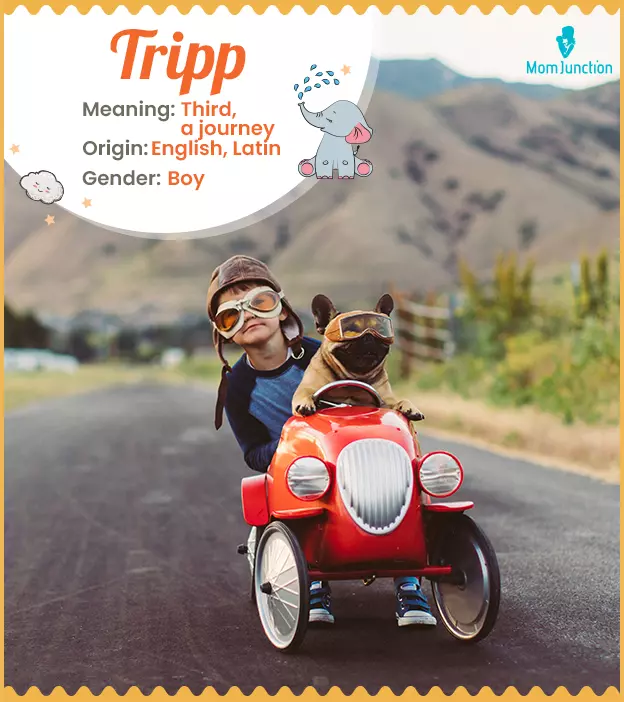 Tripp Name Meaning, Origin, History, And Popularity