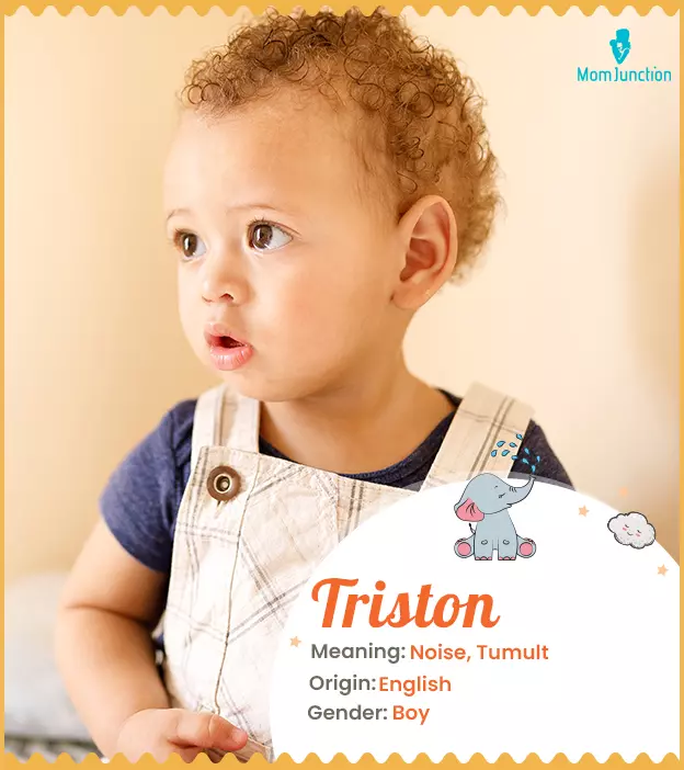 Triston Name Meaning, Origin, History, And Popularity