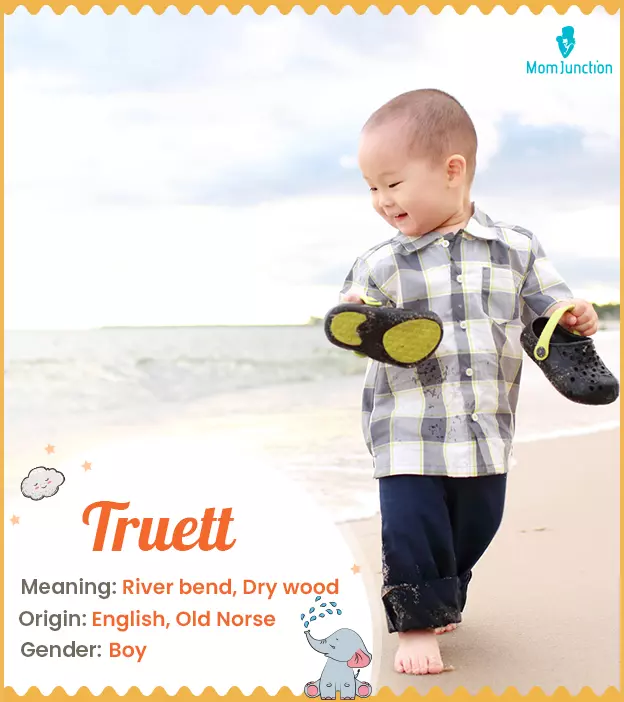 Truett Name Meaning, Origin, History, And Popularity