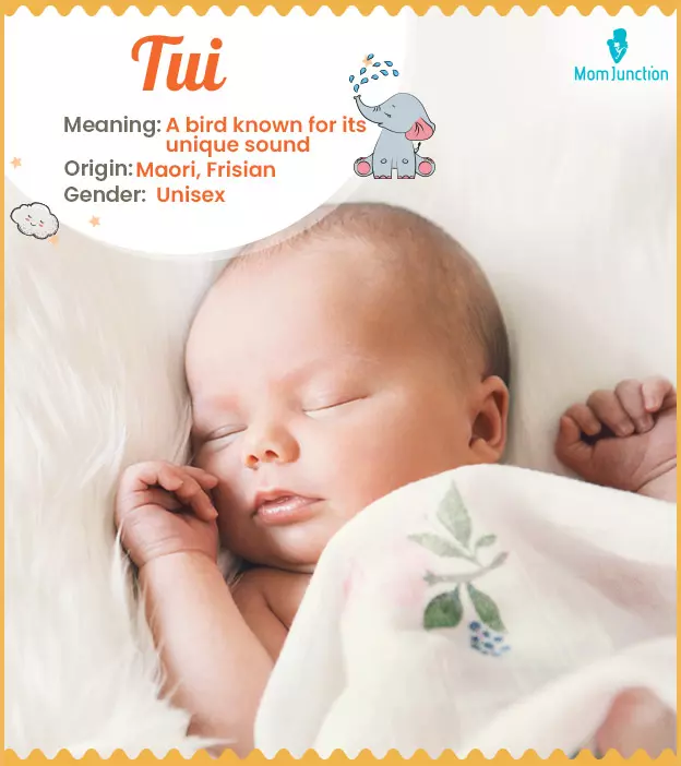Explore Tui Name Meaning: Origins, History & Comprehensive Guide ...