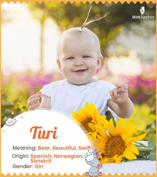 Explore Pruthvi: Meaning, Origin & Popularity