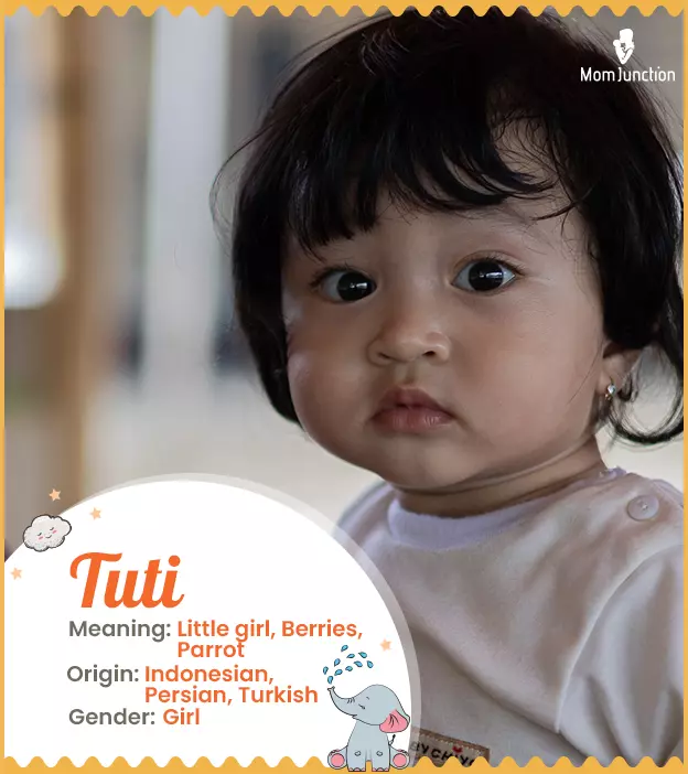 Tuti Name Meaning, Origin, History, And Popularity