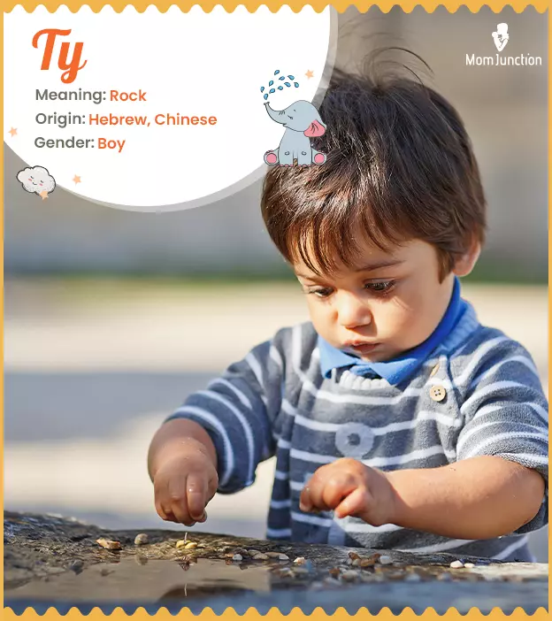 Ty Name Meaning, Origin, History, And Popularity