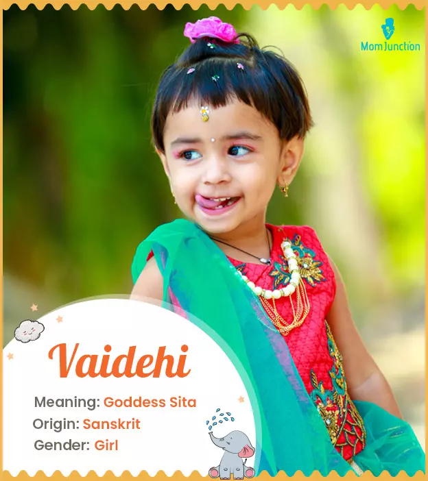 Vaidehi Name Meaning, Origin, History, And Popularity