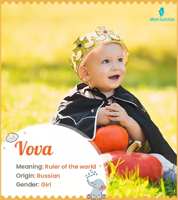 Vova Name, Meaning, Origin, History And Popularity
