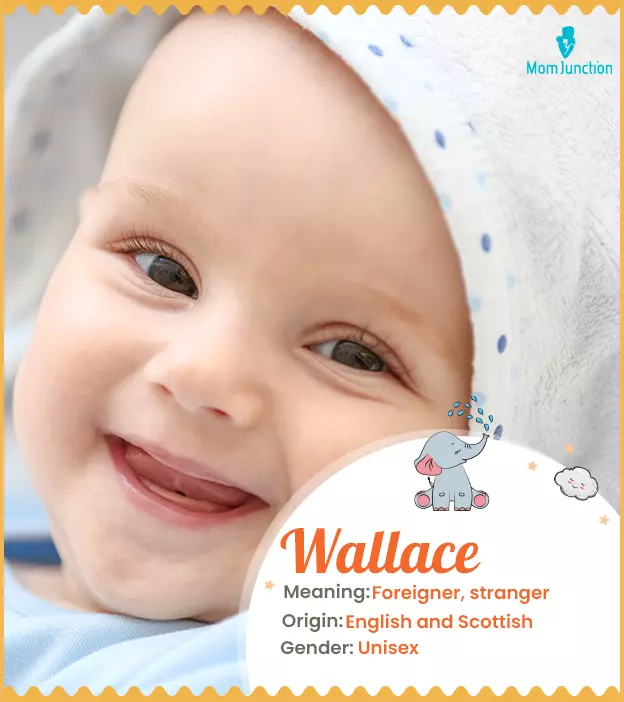 Wallace Name Meaning And Origin: A Comprehensive Guide