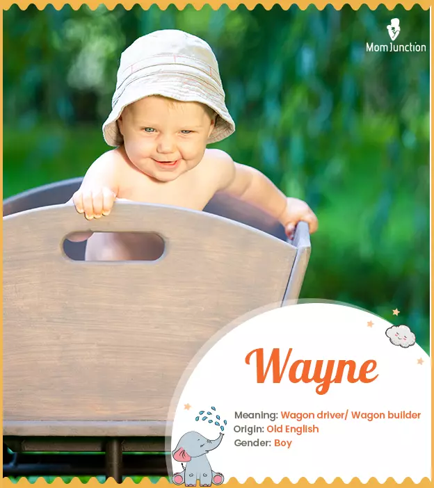 Wayne Name, Meaning, Origin, History, And Popularity