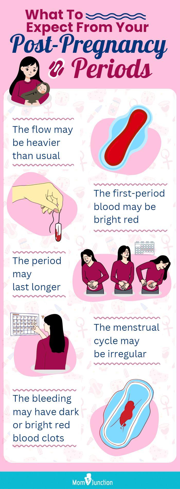 Menstruation Cycle Pregnancy Menstruation Cycle Pregnancy