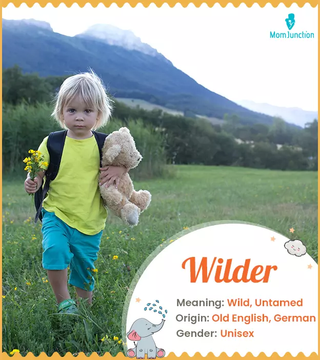 Wilder Name Meaning, Origin, History, And Popularity