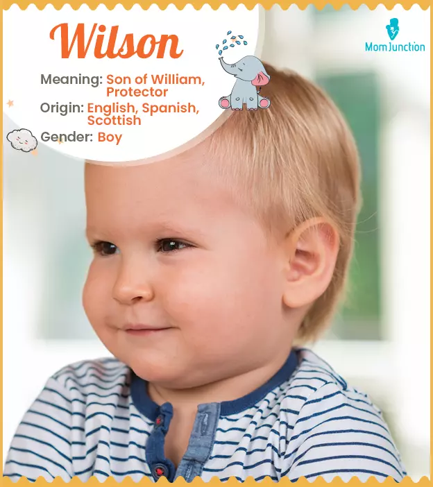 Wilson Name, Meaning, Origin, History And Popularity