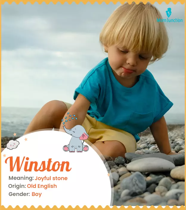 Winston Name Meaning, Origin, History, And Popularity