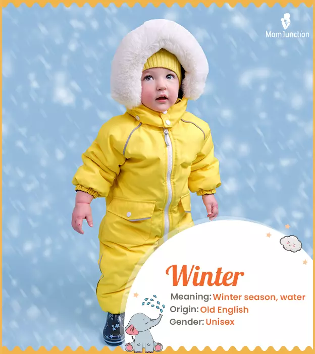 Winter Name Meaning, Origin, History, And Popularity