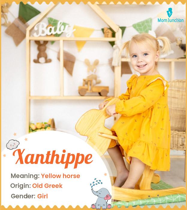 Xanthippe Name Meaning, Origin, History, And Popularity