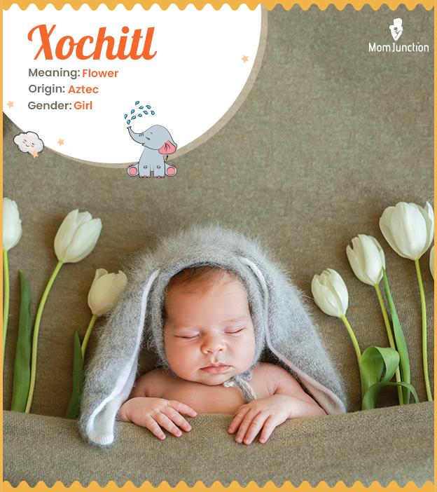 Xochitl Name Meaning, Origin, History, And Popularity