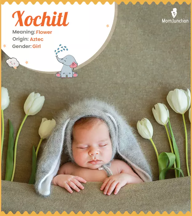 Xochitl Name Meaning: Origin, Pronunciation, History & Variants