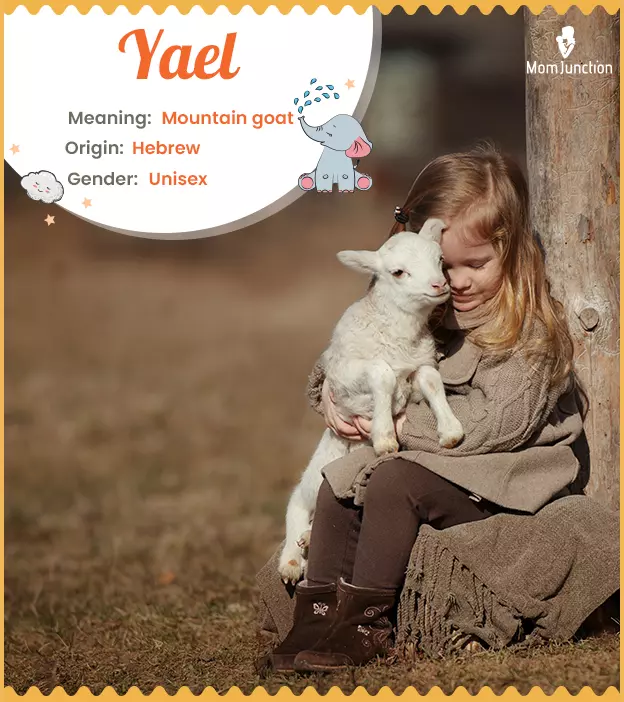 Yael Name Meaning, Origin, History, And Popularity