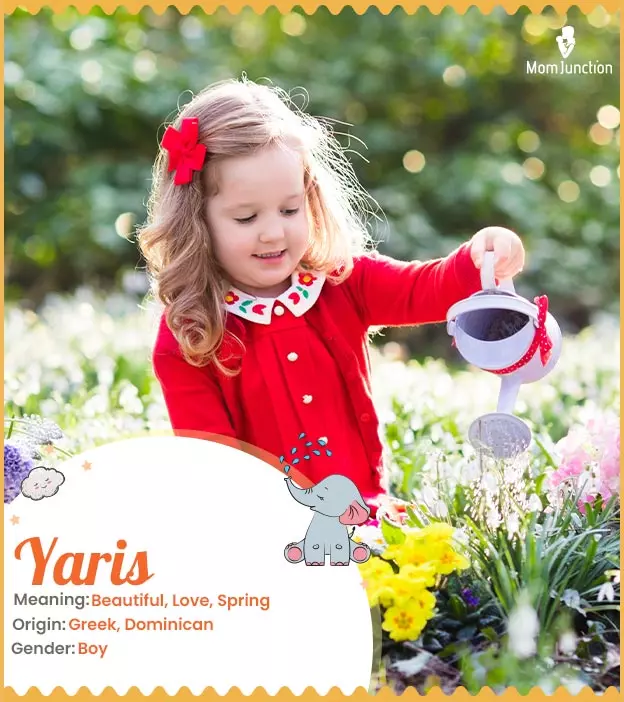 Yaris Meaning, Origin, History, And Popularity