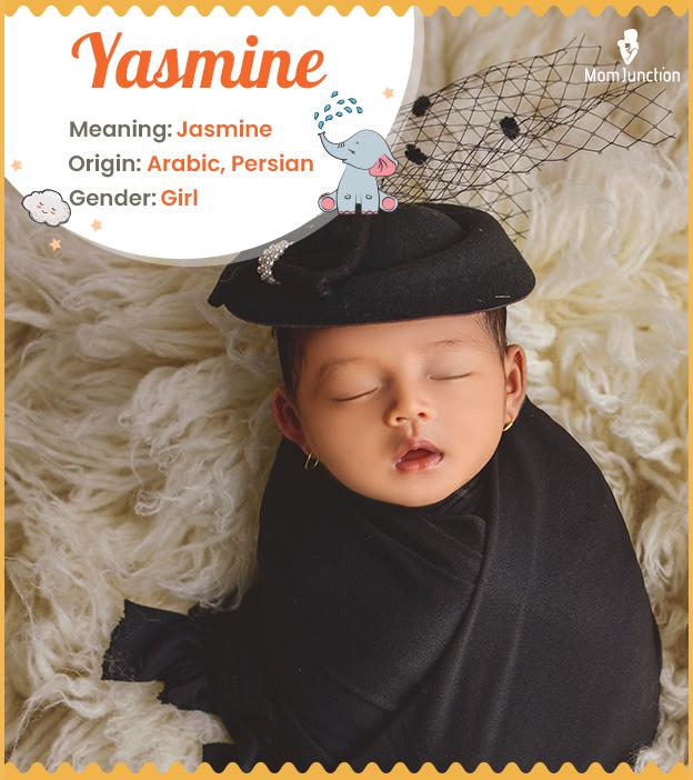 Explore Hane: Meaning, Origin & Popularity