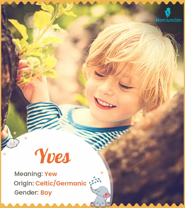 Yves Name Meaning, Origin, History, And Popularity