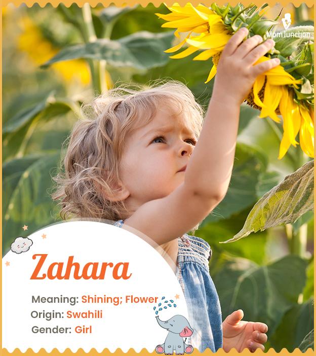 Explore Jayd: Meaning, Origin & Popularity