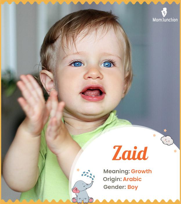 Zaid Name Meaning, Origin, History, And Popularity