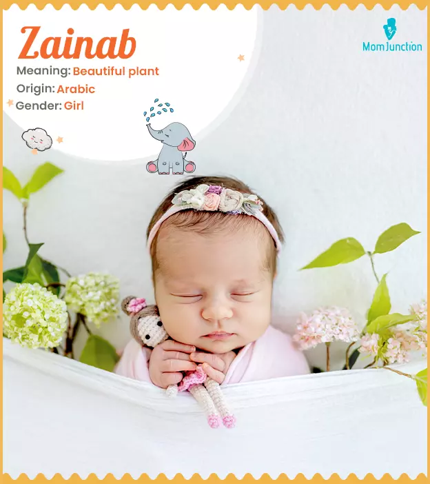Zainab Baby Name: Meaning, Origin, And Popularity Key Insights
