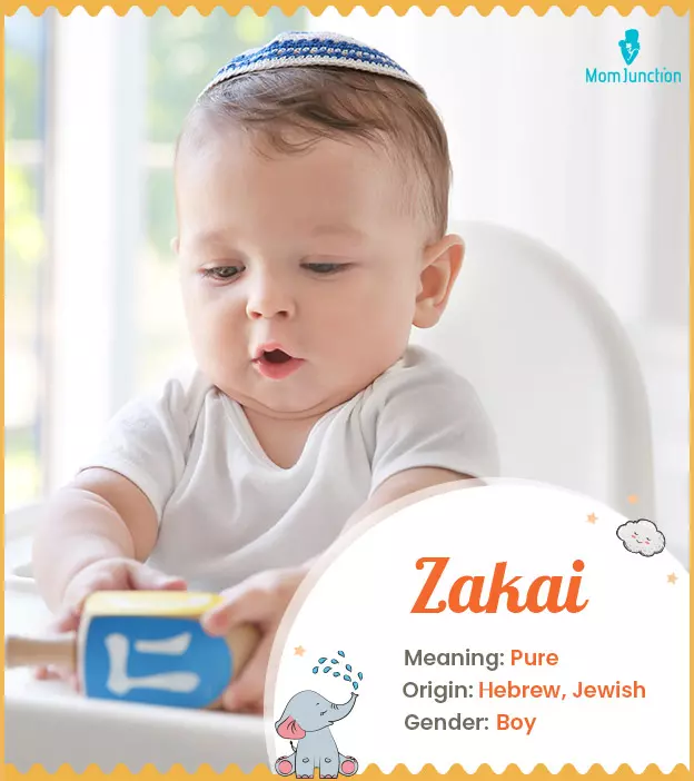 Zakai Name Meaning, Origin, History, And Popularity
