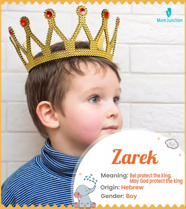 Explore Zarek: Meaning, Origin & Popularity