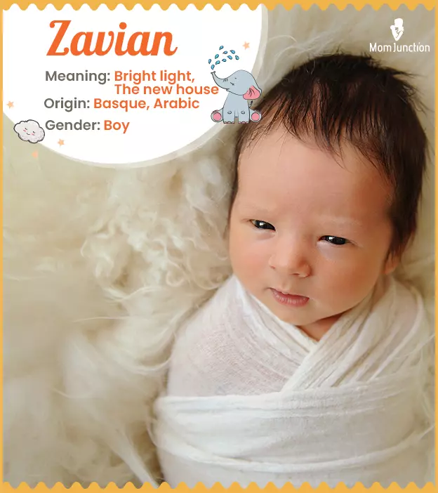 Zavian Name, Meaning, Origin, History, And Popularity