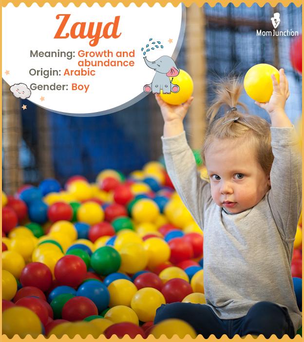 Vada Name Meaning, Origin, History, And Popularity