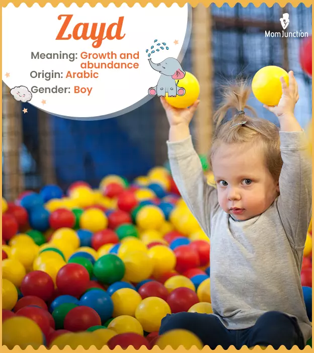 Zayd Name, Meaning, Origin, History, And Popularity